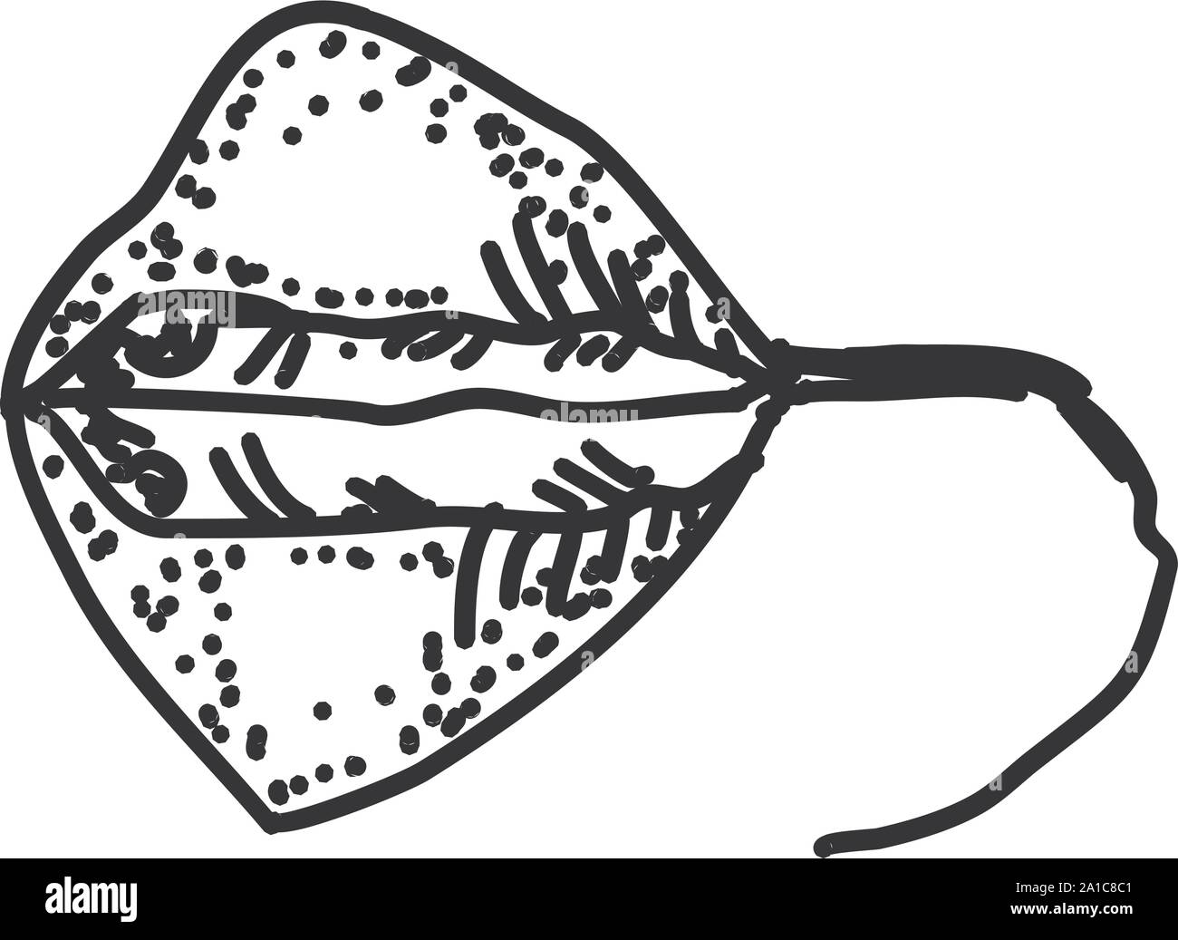 Stringray fish, illustration, vector on white background Stock Vector ...
