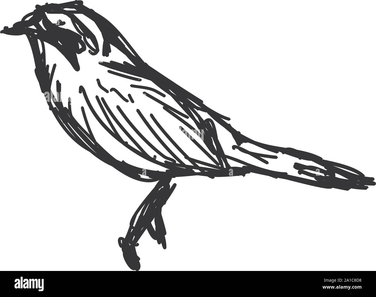 Bird sketch, illustration, vector on white background Stock Vector ...