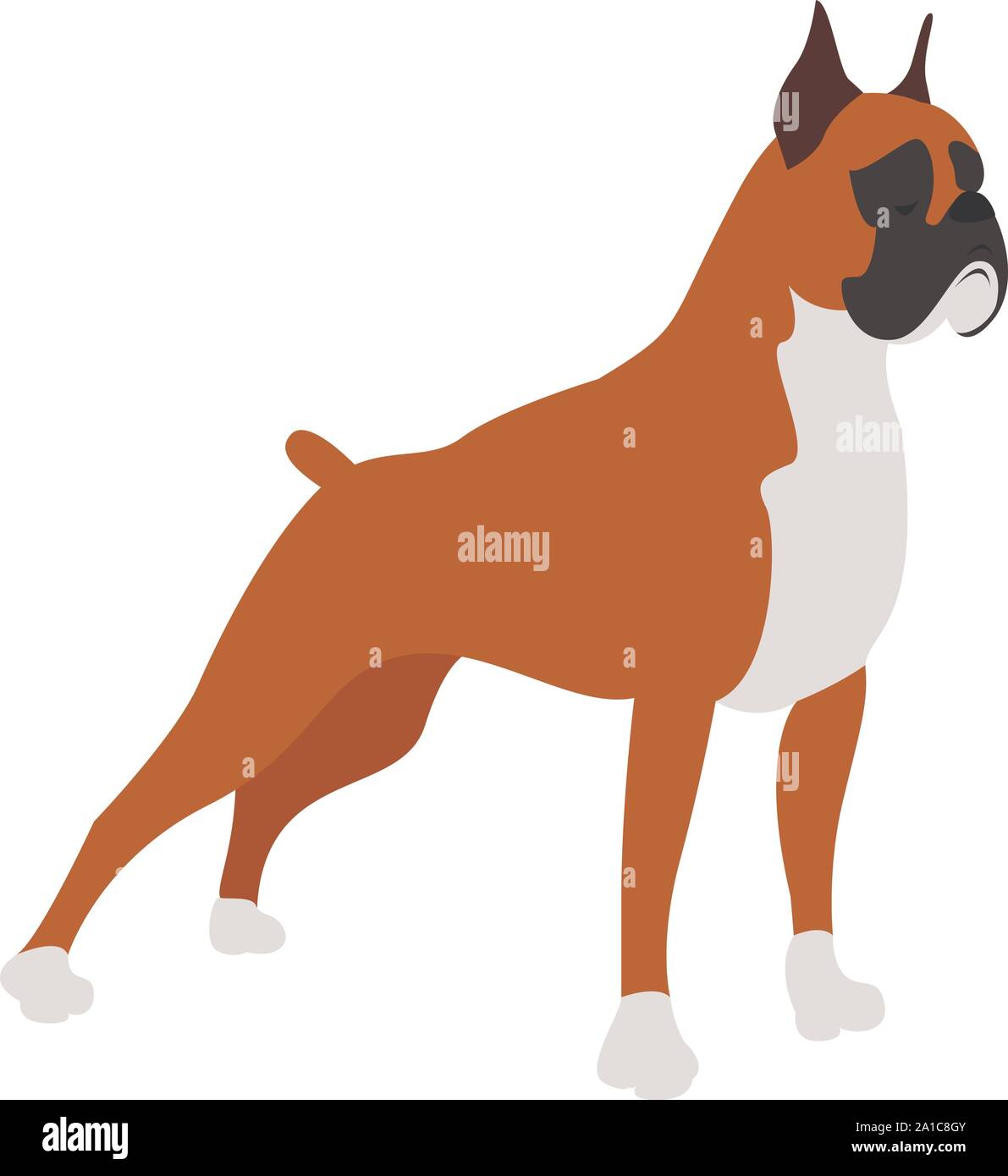Boxer dog, illustration, vector on white background Stock Vector Image ...