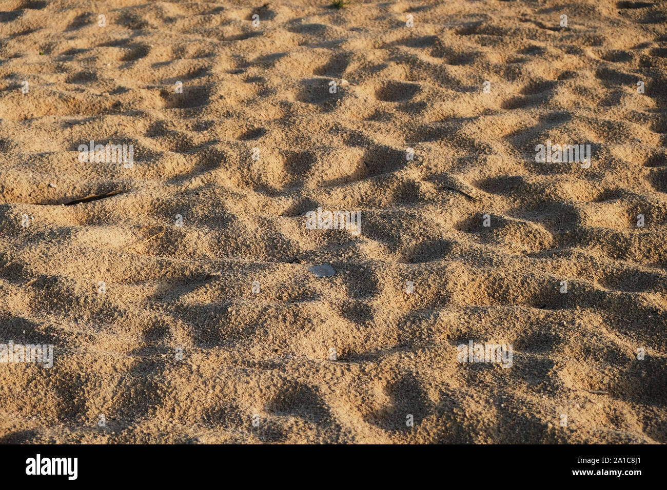 Rough golden sand texture on the beach in Bonaire Stock Photo - Alamy