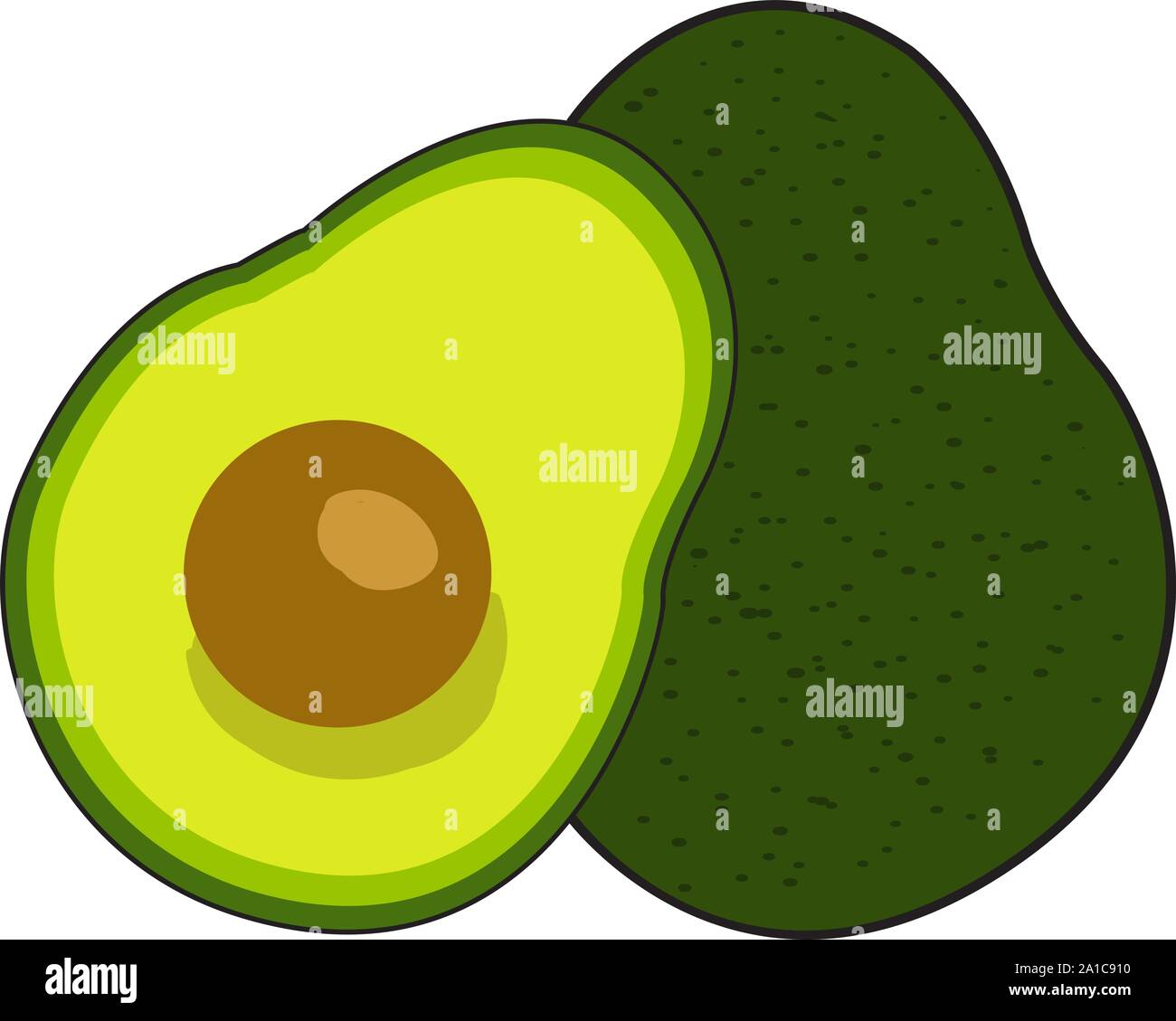 Avocado, illustration, vector on white background Stock Vector Image ...