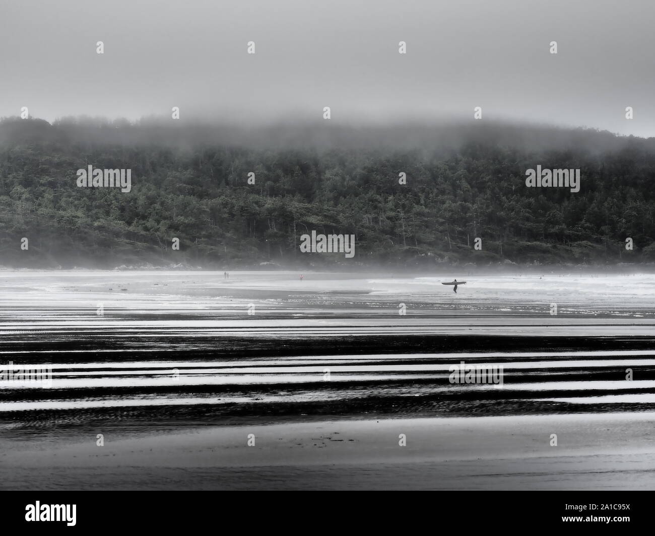 Surf Surfer Sea Landscape Tofino Vancouver Island British Columbia ...