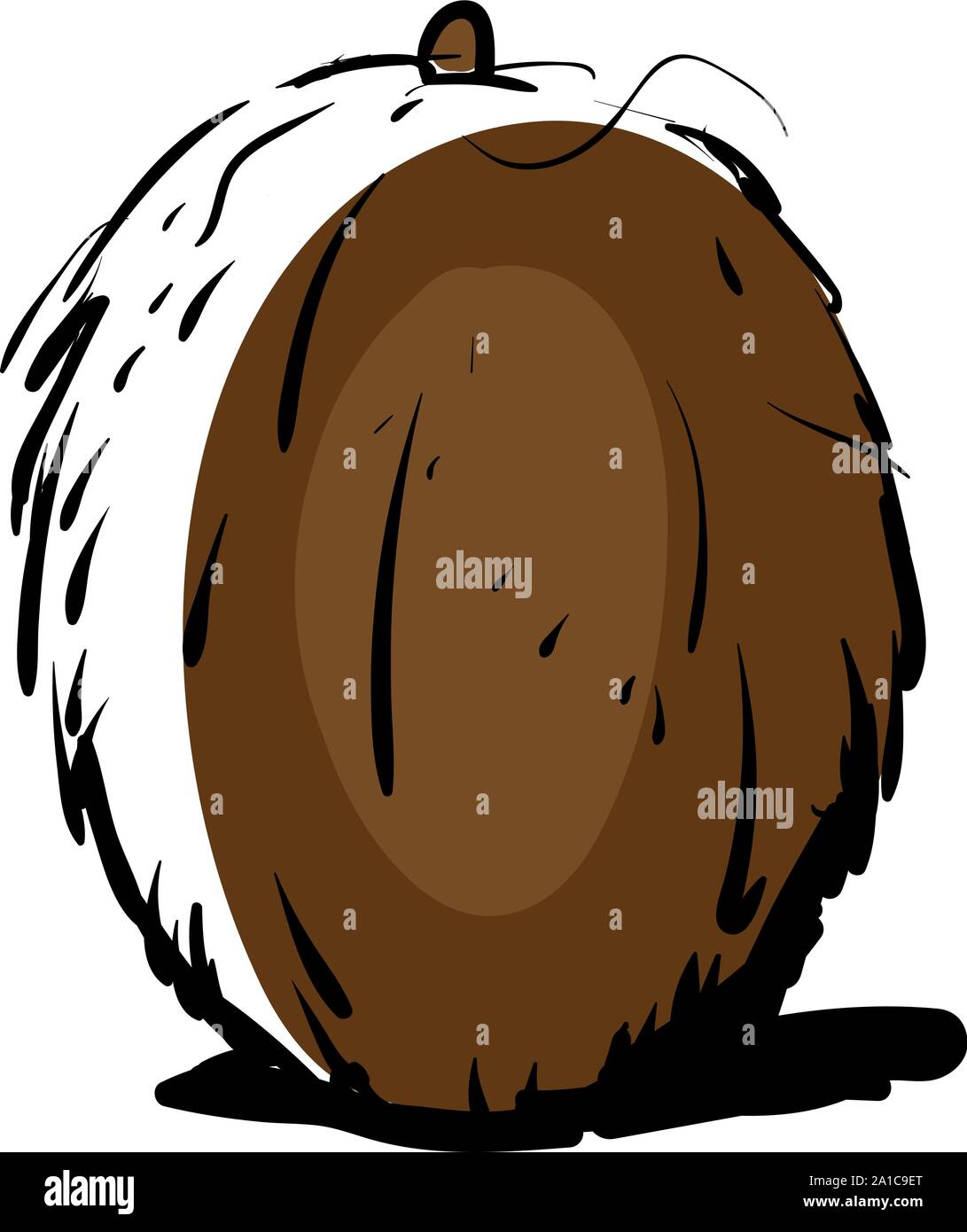 Coconut drawing, illustration, vector on white background Stock Vector ...