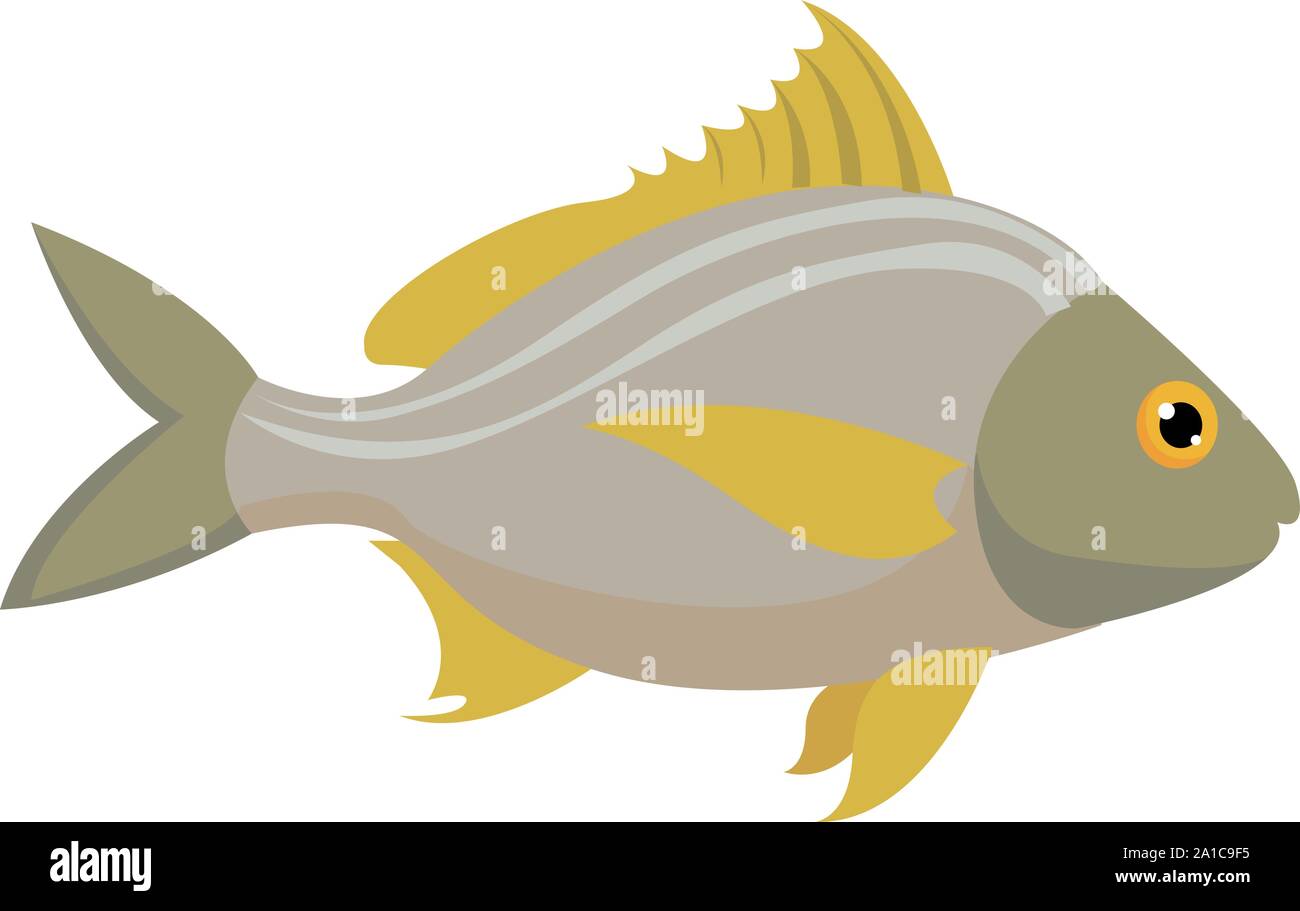 Fish, illustration, vector on white background Stock Vector Image & Art ...