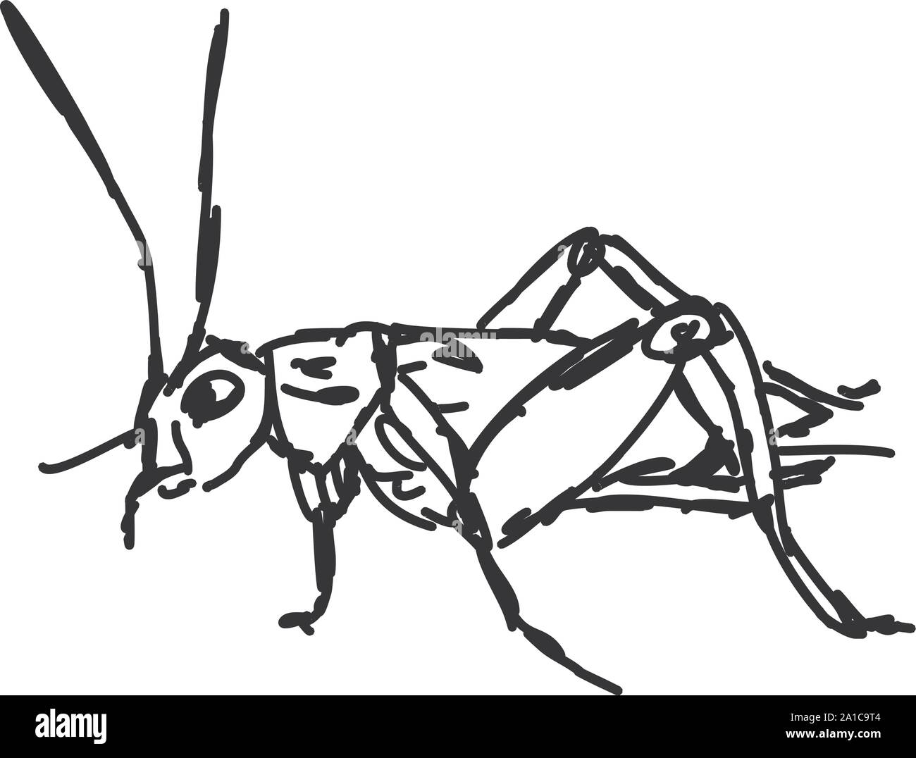 Bug sketch, illustration, vector on white background Stock Vector Image ...