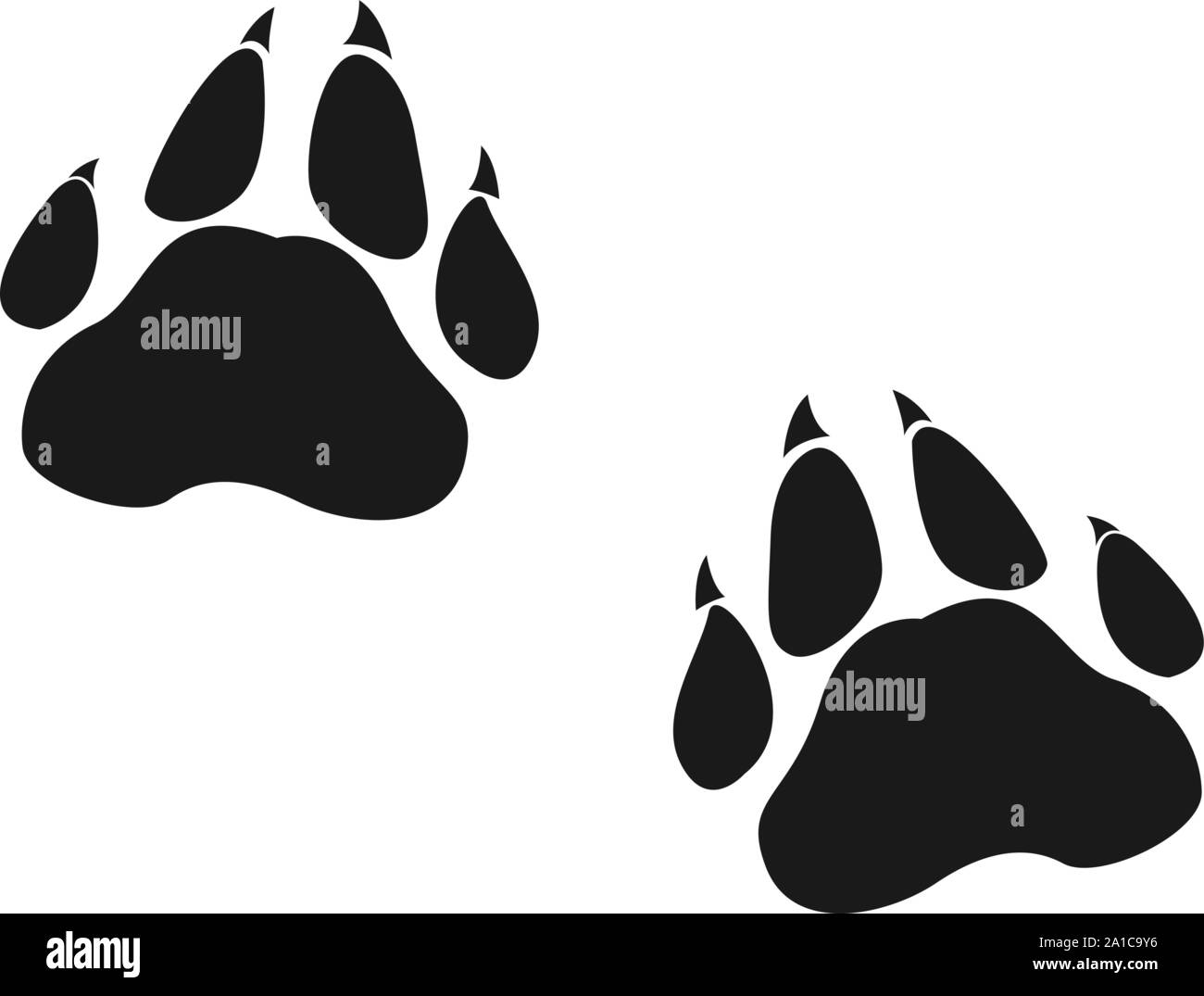 Animals footprint, illustration, vector on white background Stock ...