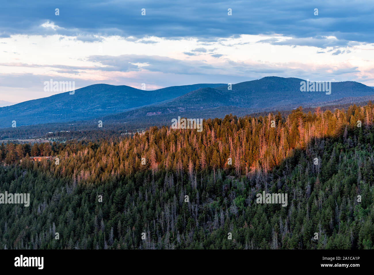 Canyon Rim overlook view of pine forest mountains near campground in ...