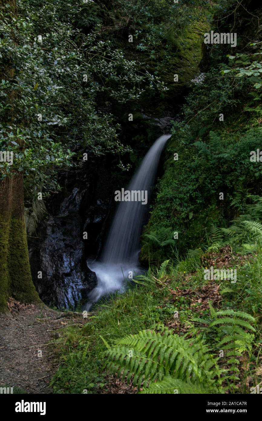 Waterfall in a park in Dublin, Ireland Stock Photo - Alamy