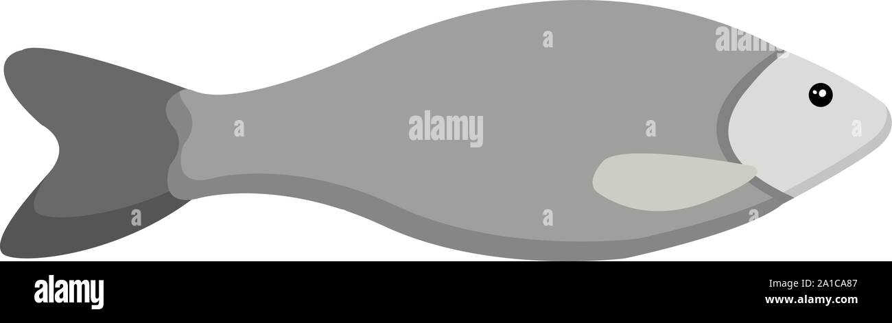 Grey fish, illustration, vector on white background Stock Vector Image ...