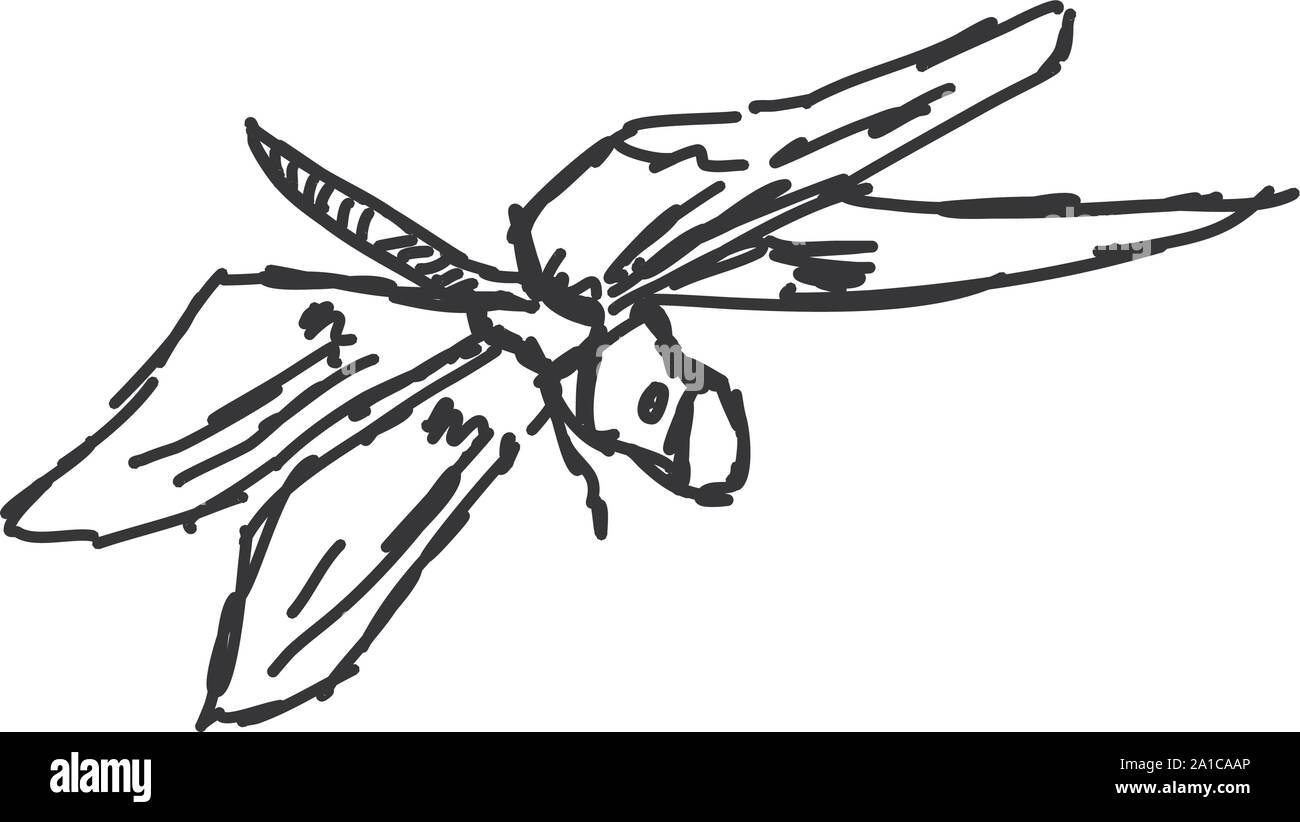 Dragonfly vector hand drawn Stock Vector Images - Alamy