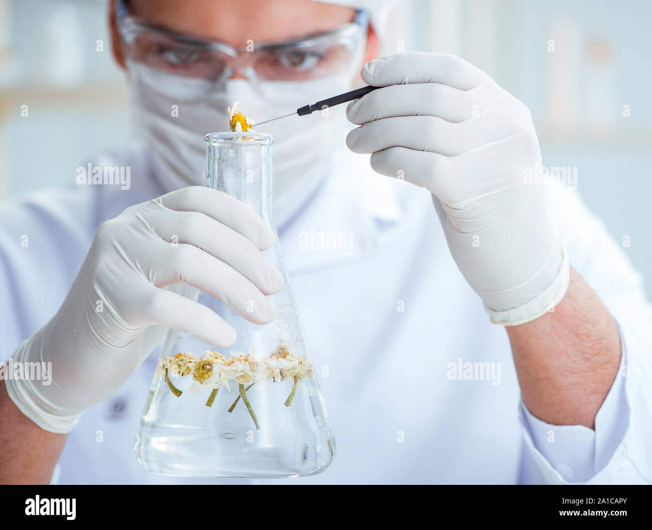 The chemist mixing perfumes in the lab Stock Photo - Alamy