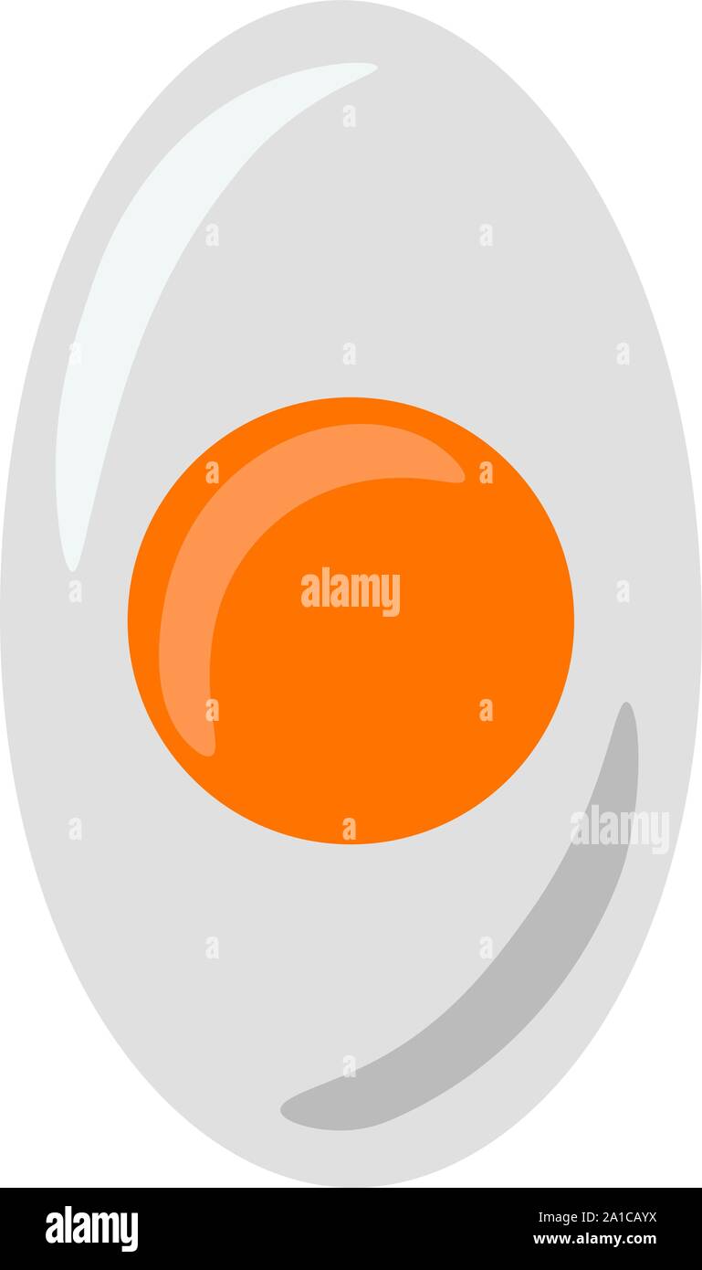 Half egg, illustration, vector on white background Stock Vector Image ...