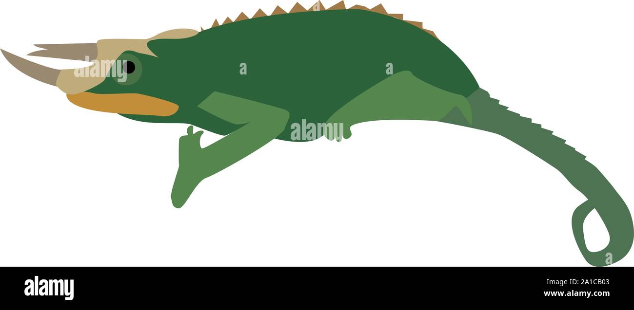 Iguana illustration hi-res stock photography and images - Alamy