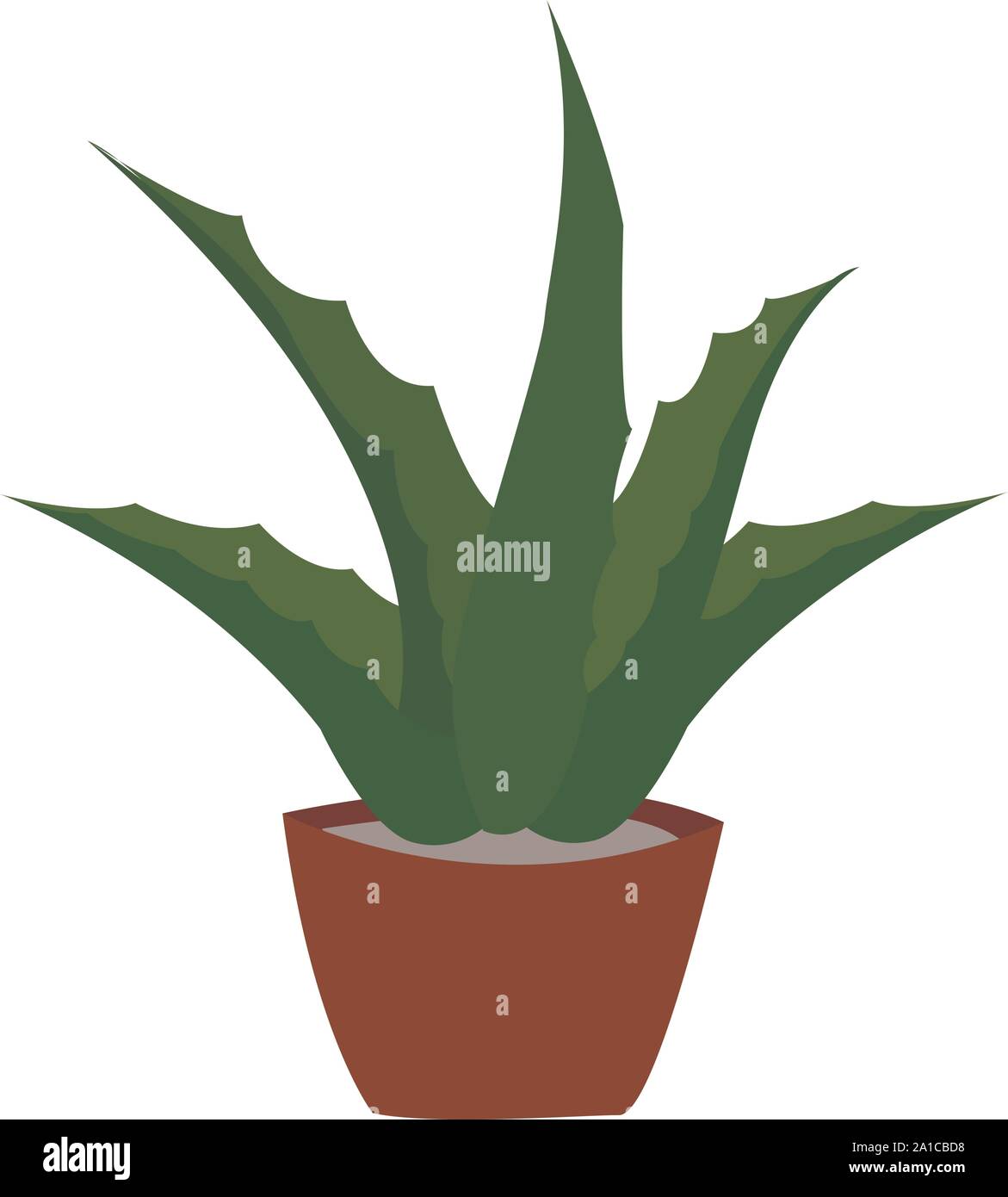 Aloe plant, illustration, vector on white background Stock Vector Image ...