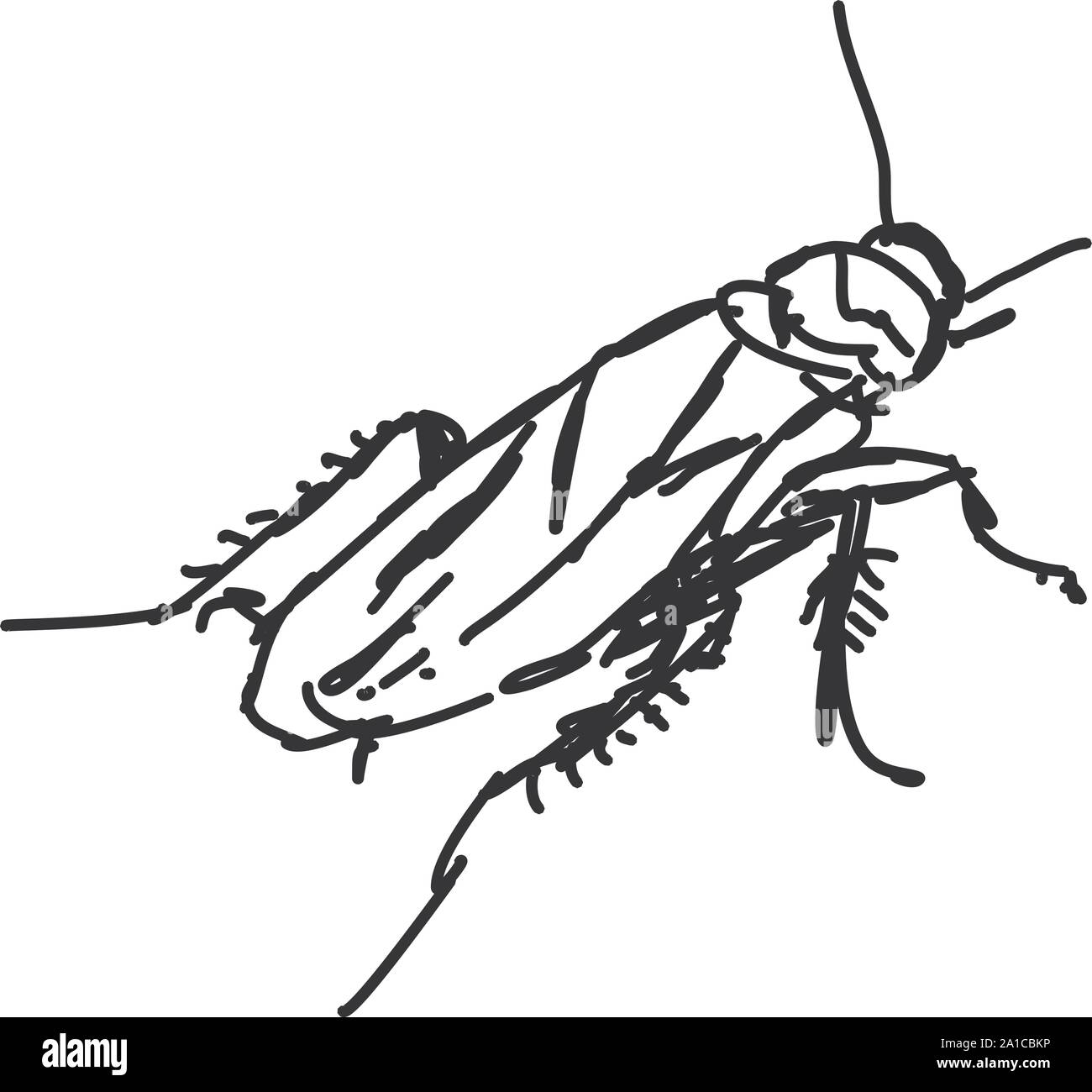 Bug sketch, illustration, vector on white background Stock Vector Image ...