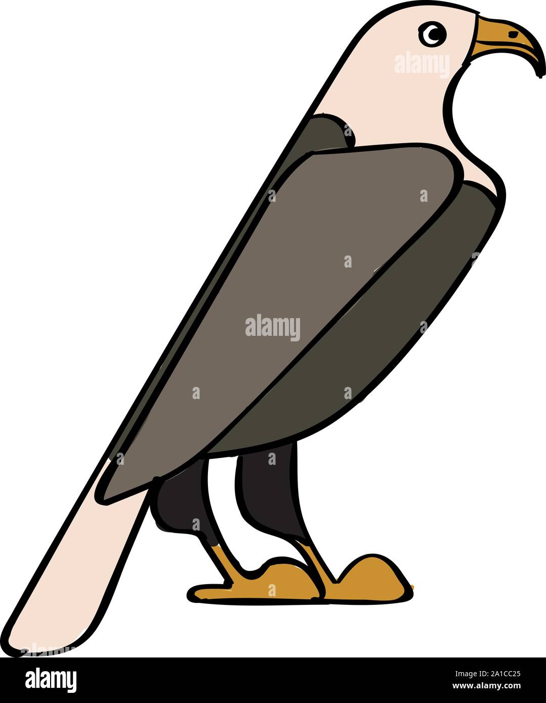 Sketch eagle head on Stock Vector Images - Alamy