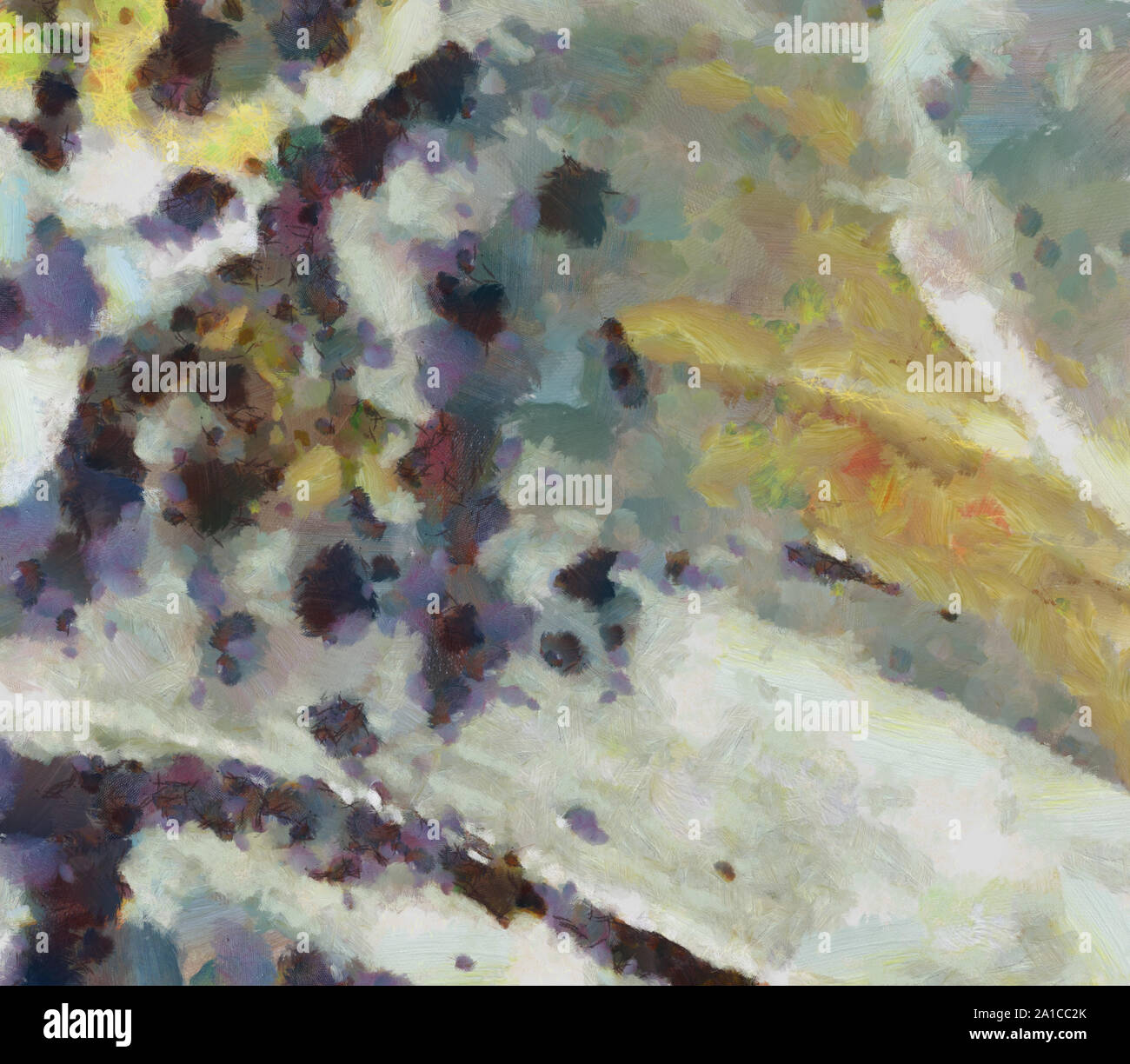 Large colorful splashes of paint on canvas, unique design elements ...