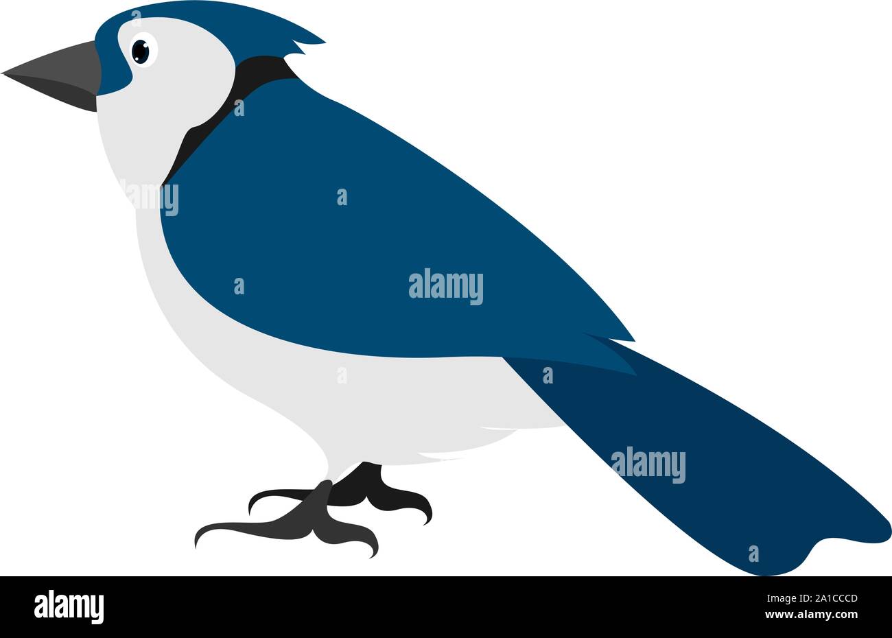 Blue bird, illustration, vector on white background Stock Vector Image ...