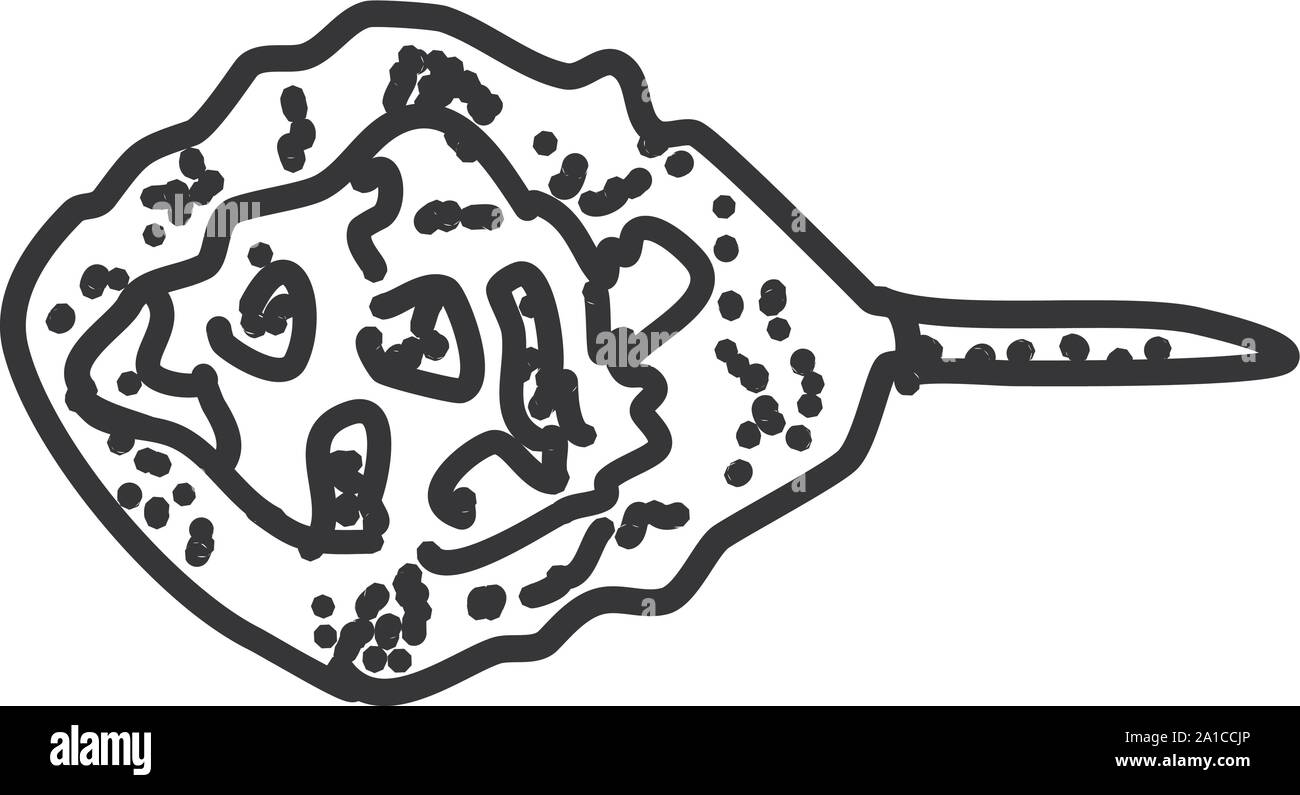 Fish drawing, illustration, vector on white background Stock Vector ...