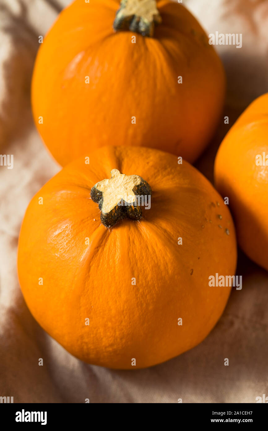 Mini orange hi-res stock photography and images - Alamy