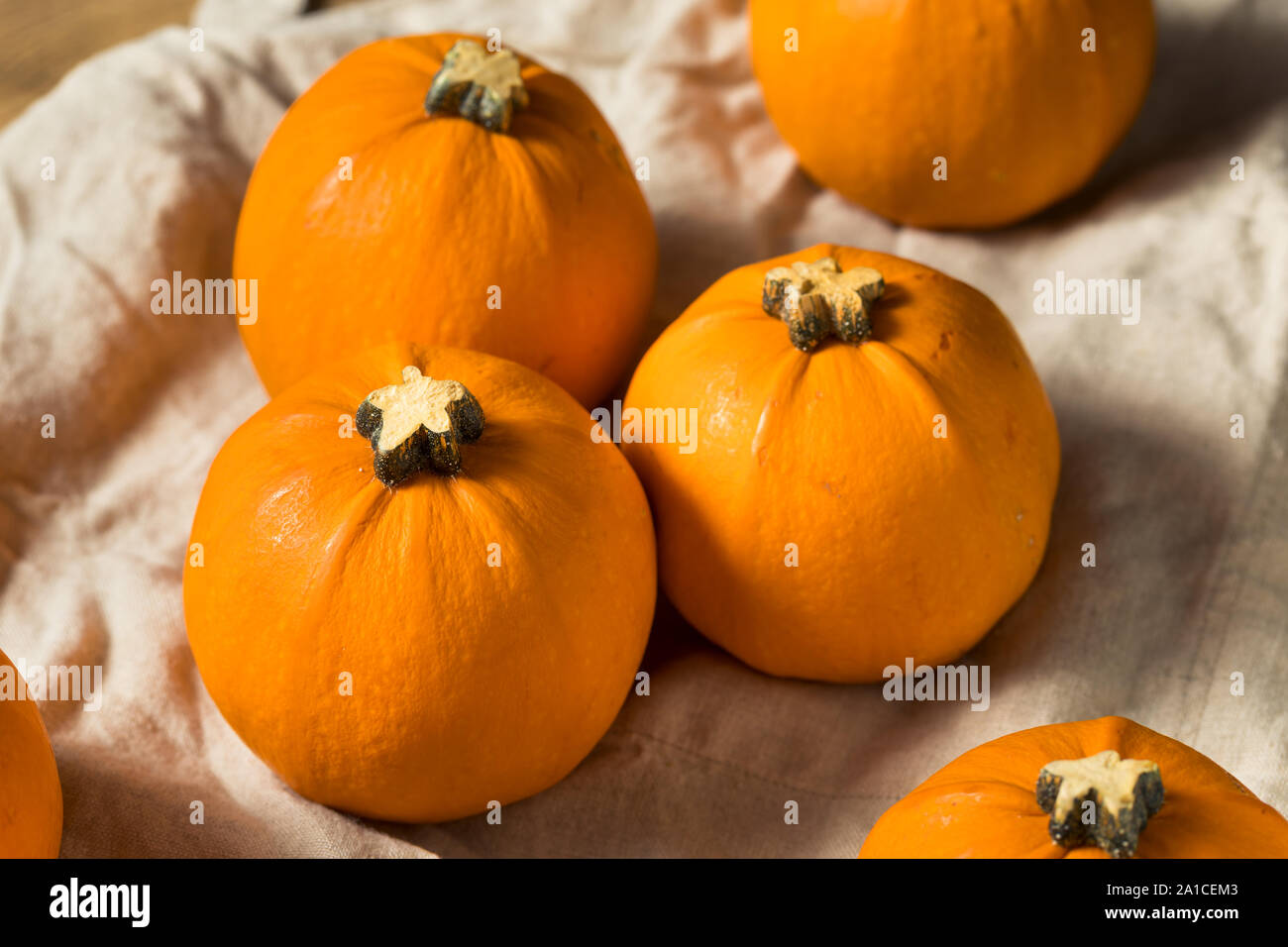 Raw Organic Mini Orange Pumpkins for Decorations Stock Photo - Alamy