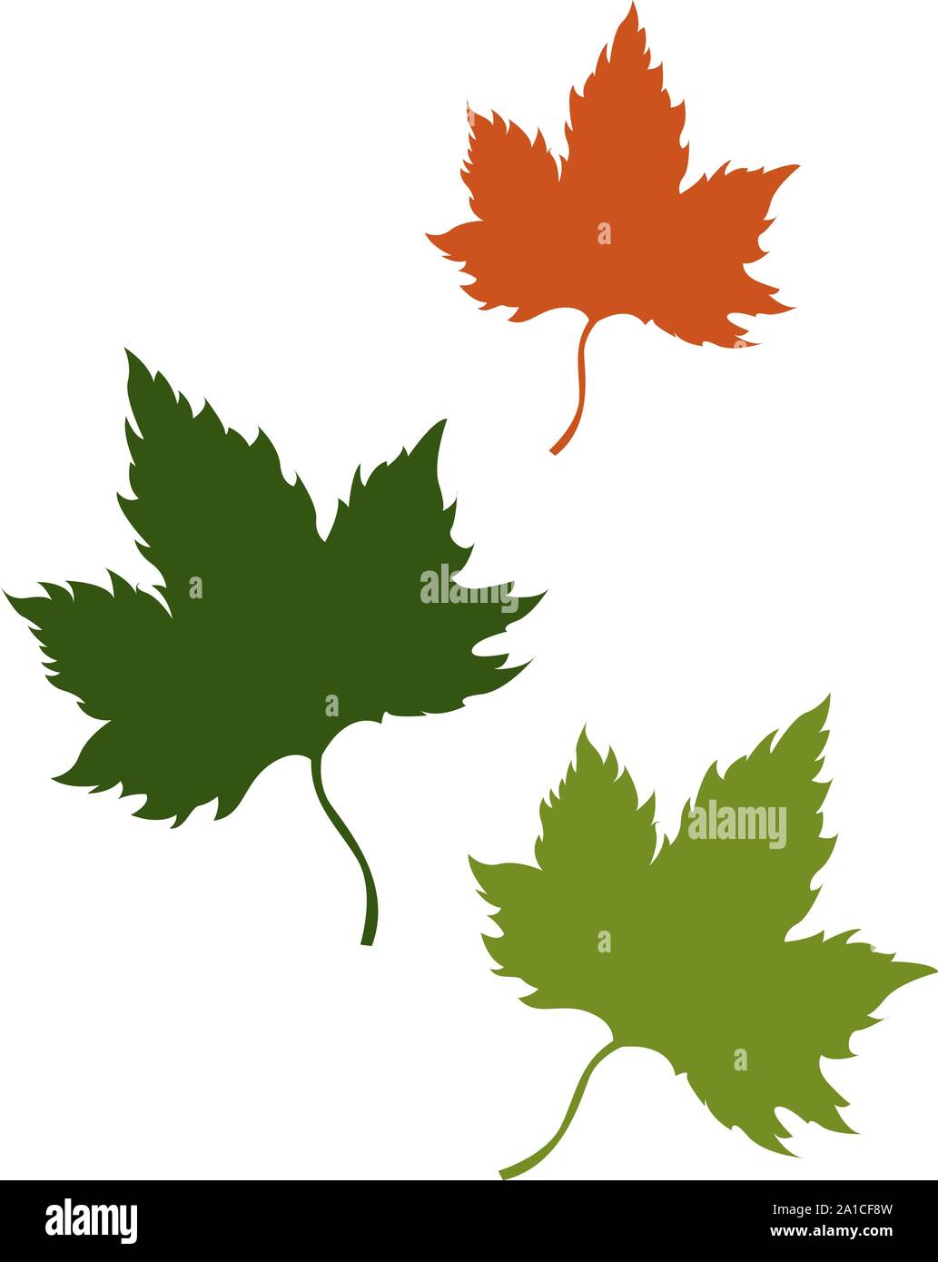 Leaves, illustration, vector on white background Stock Vector Image ...