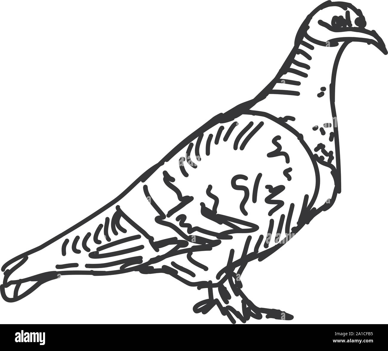 Bird drawing, illustration, vector on white background Stock Vector ...