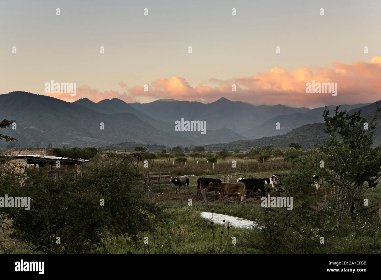 Valley of mexico jalisco hi-res stock photography and images - Alamy