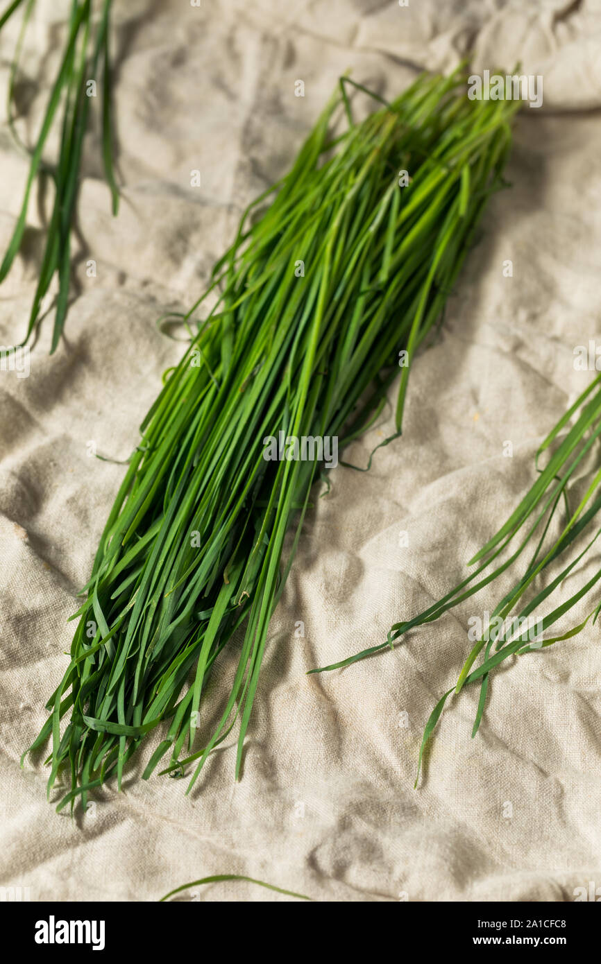 Raw Green Organic Korean Chives in a Bunch Stock Photo - Alamy