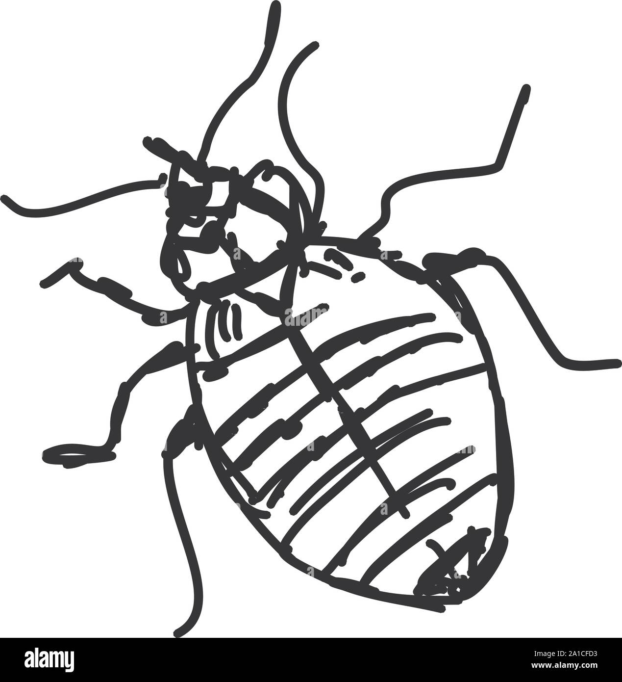 Bug sketch, illustration, vector on white background Stock Vector Image ...