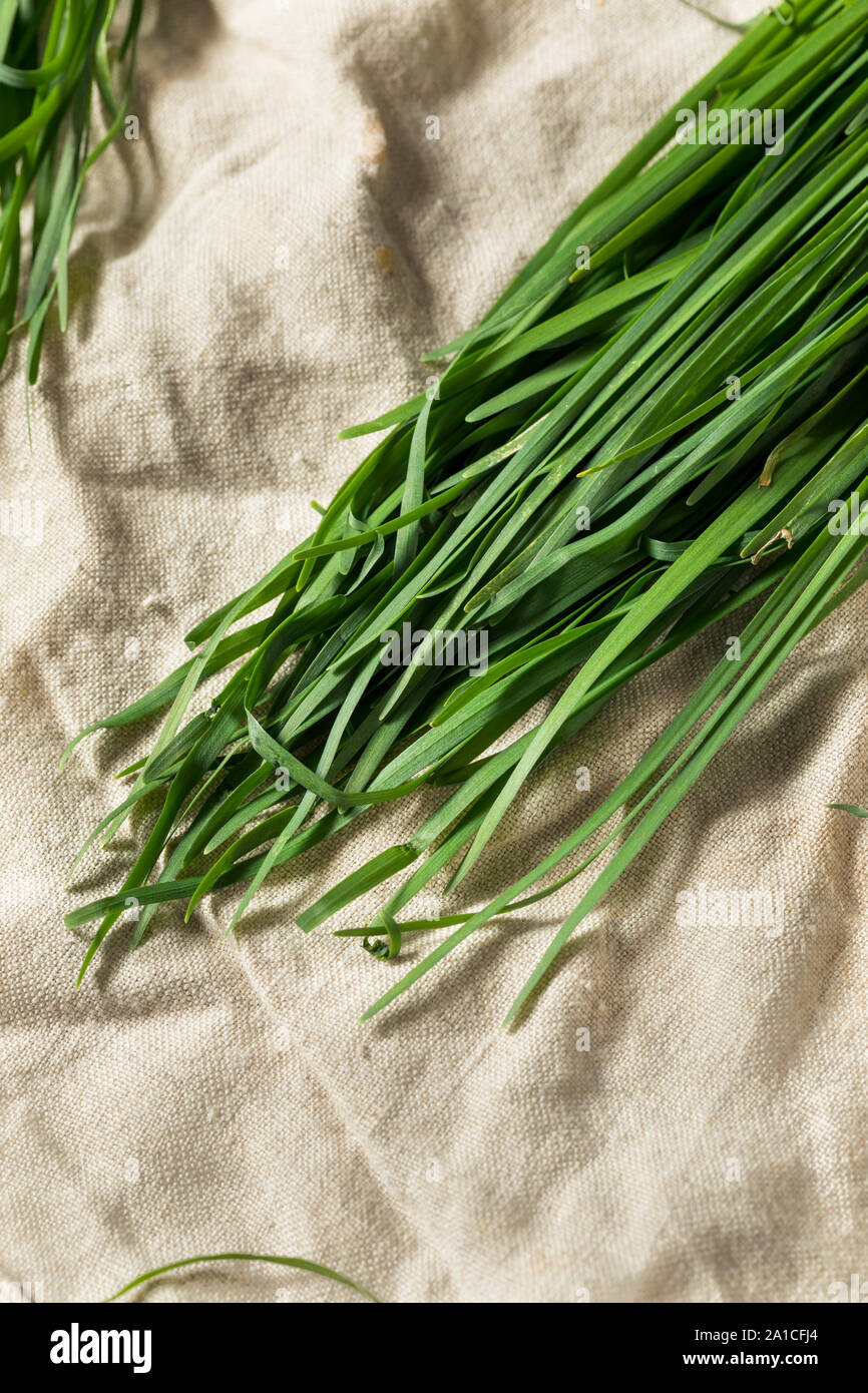 Wild Chives High Resolution Stock Photography and Images - Alamy