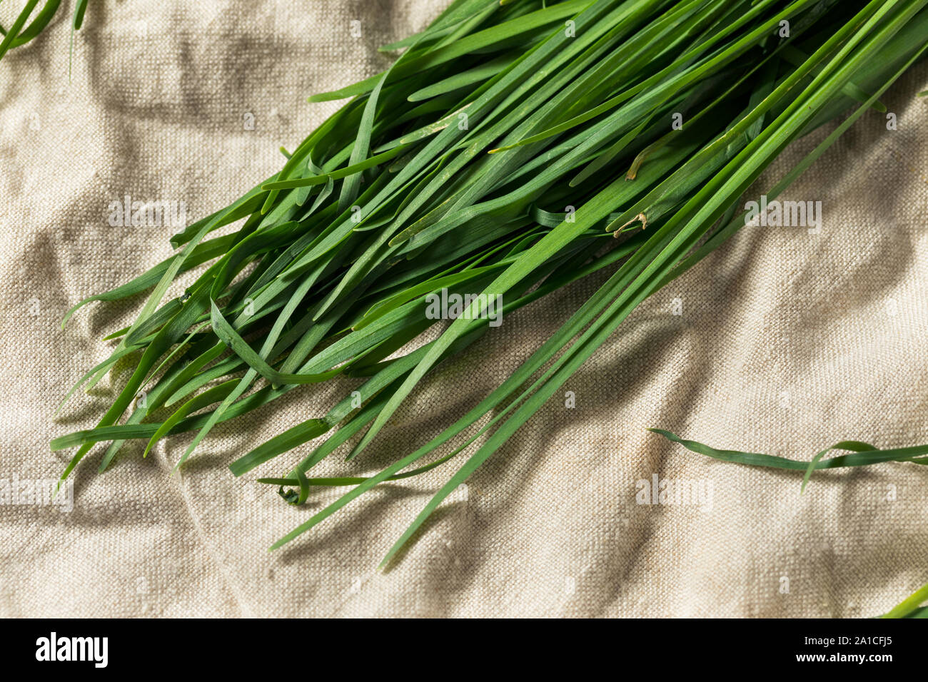 Raw Green Organic Korean Chives in a Bunch Stock Photo - Alamy