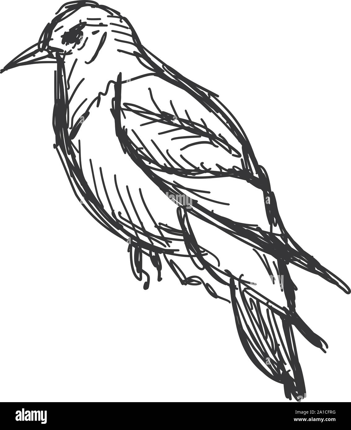 Bird drawing, illustration, vector on white background Stock Vector ...