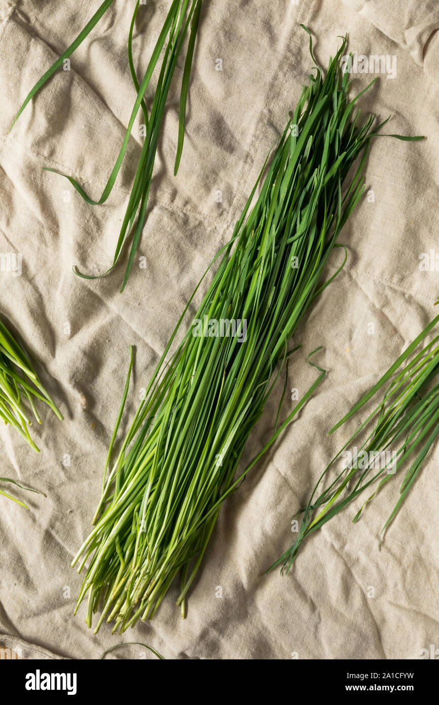 Raw Green Organic Korean Chives in a Bunch Stock Photo - Alamy