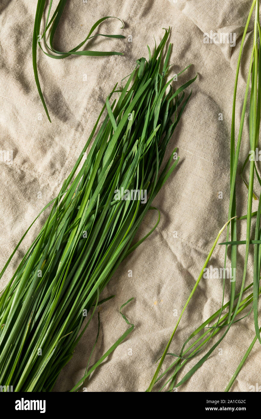 Raw Green Organic Korean Chives in a Bunch Stock Photo - Alamy