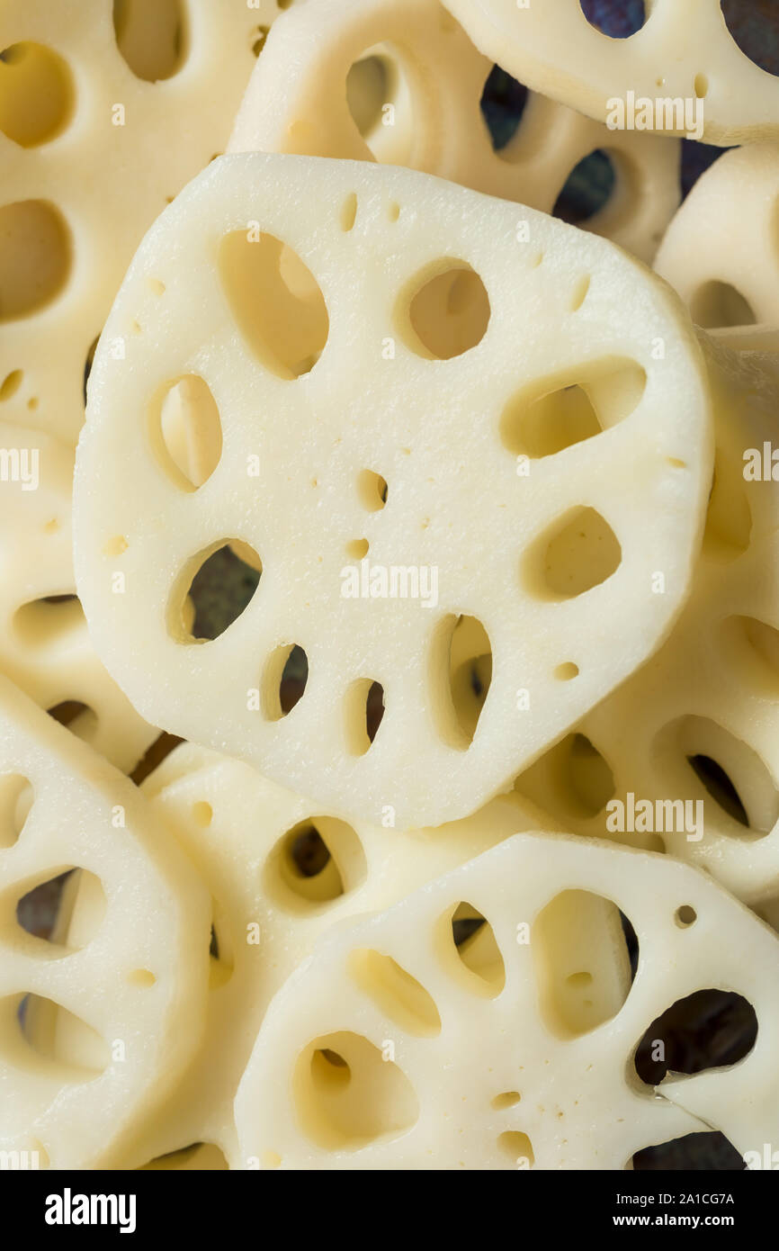 Raw Organic White Lotus Root in Slices Stock Photo - Alamy