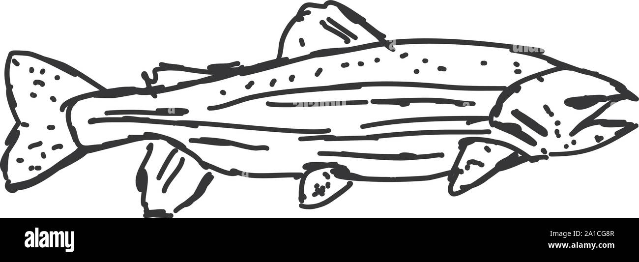 Fish drawing, illustration, vector on white background Stock Vector ...