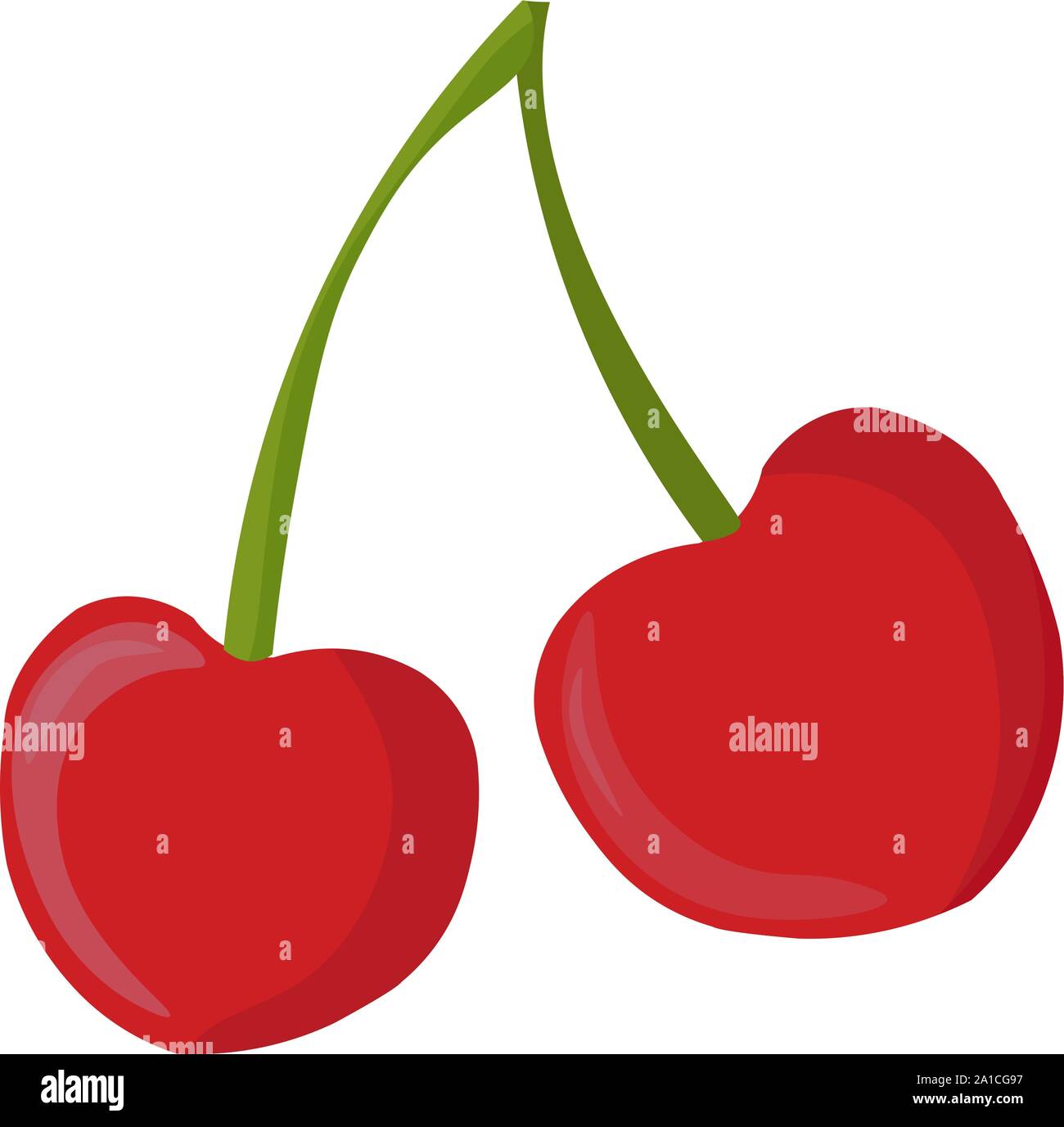 Cherry, illustration, vector on white background Stock Vector Image ...