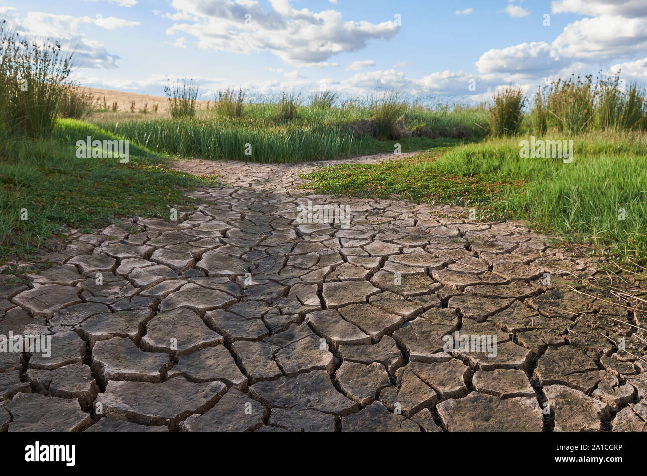 cracked dirt of a dry creek passing through a green field under a ...