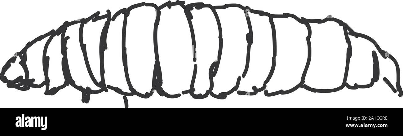 Maggot drawing, illustration, vector on white background Stock Vector ...