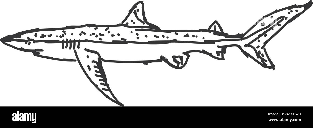 Fish drawing, illustration, vector on white background Stock Vector ...