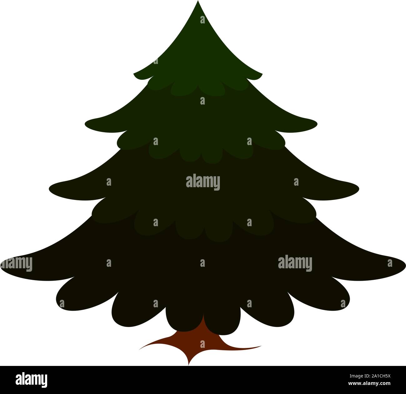 Spruce, illustration, vector on white background Stock Vector Image ...