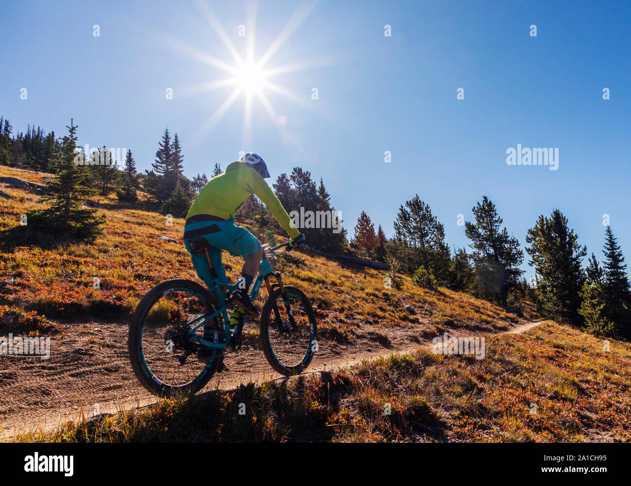 Mountain bikers on the famous Monarch Crest Trail, along the ...