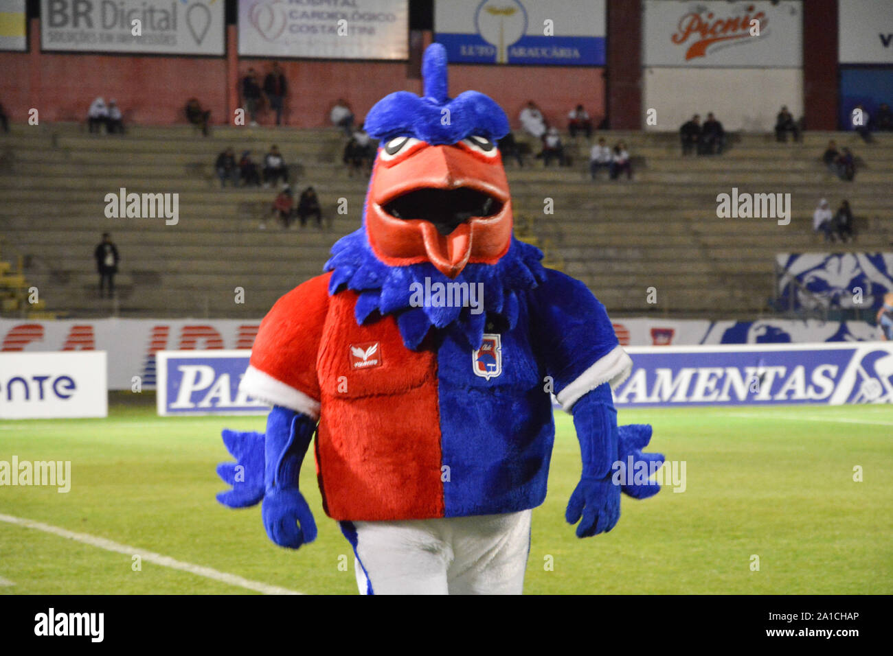 Curitiba, Brazil. 25th Sep, 2019. Gralha Azul, the mascot of the team ...
