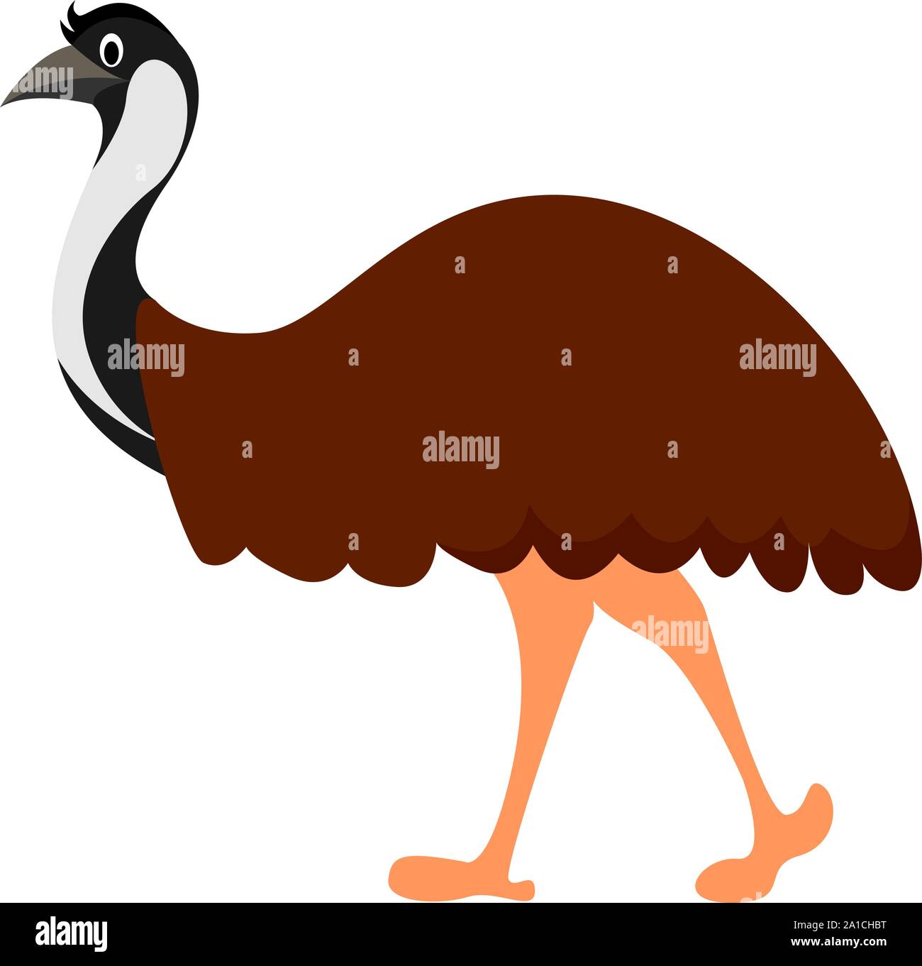 Emu Cut Out Stock Images & Pictures - Alamy