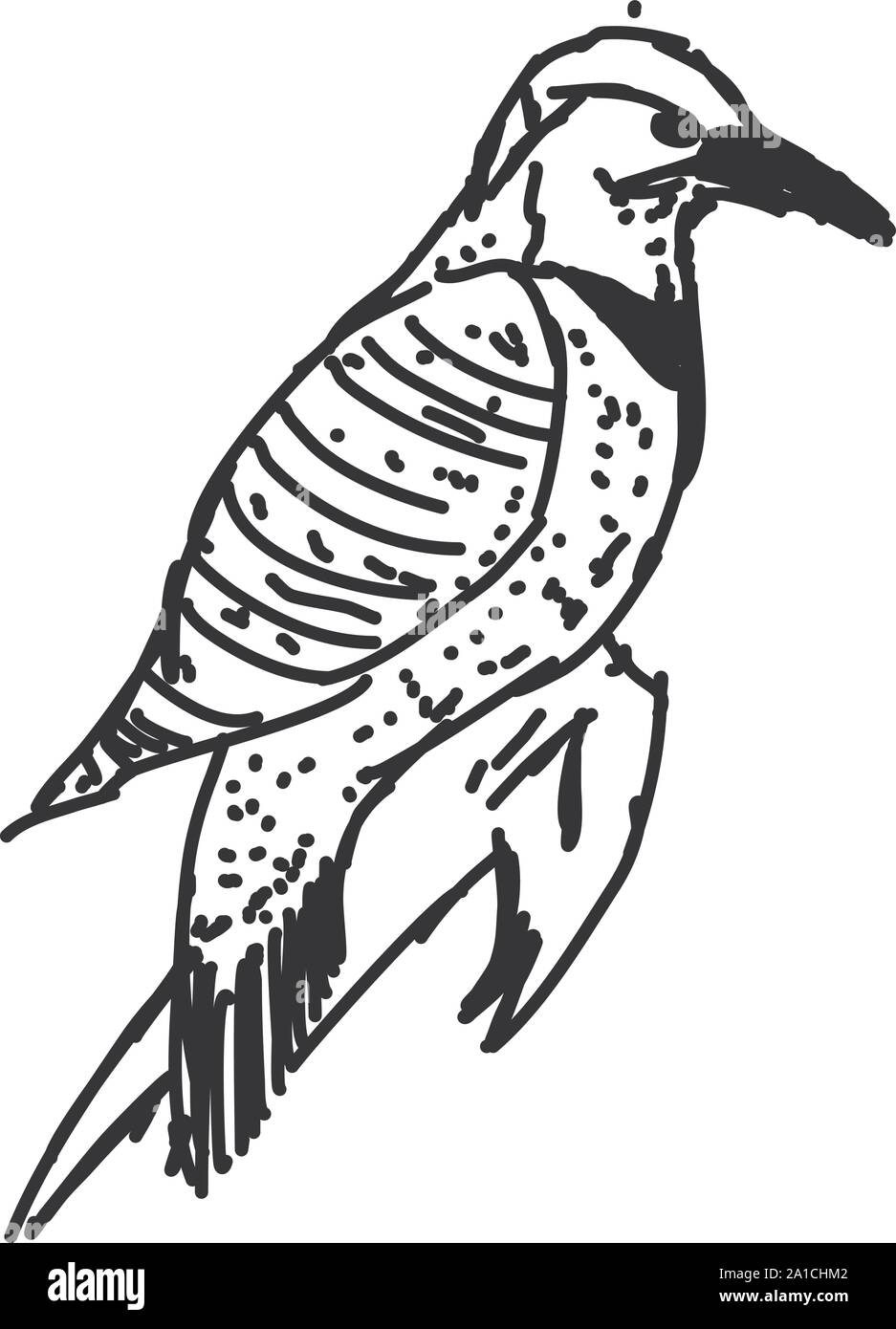 Bird drawing, illustration, vector on white background Stock Vector ...