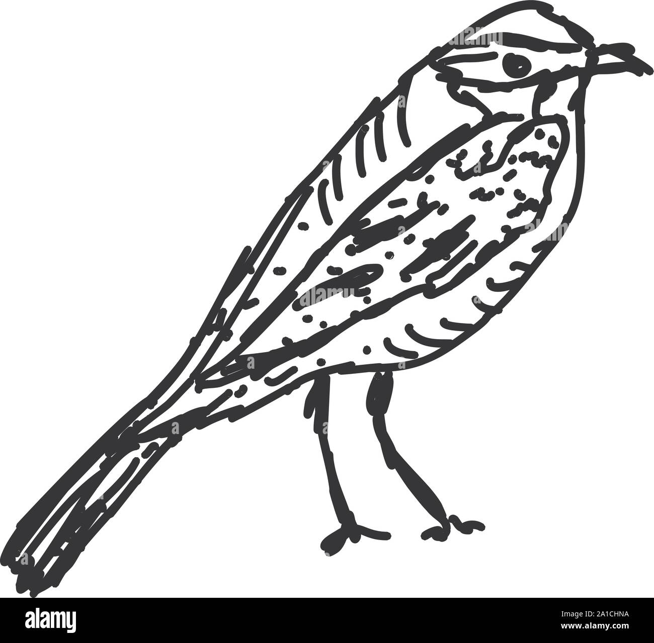 Bird drawing, illustration, vector on white background Stock Vector ...