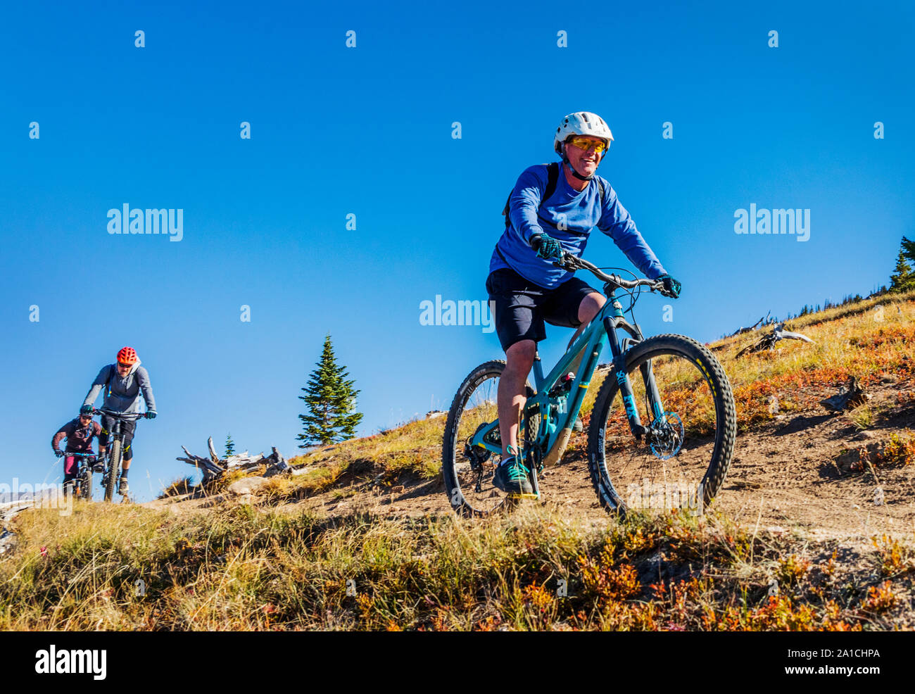Mountain bikers on the famous Monarch Crest Trail, along the ...