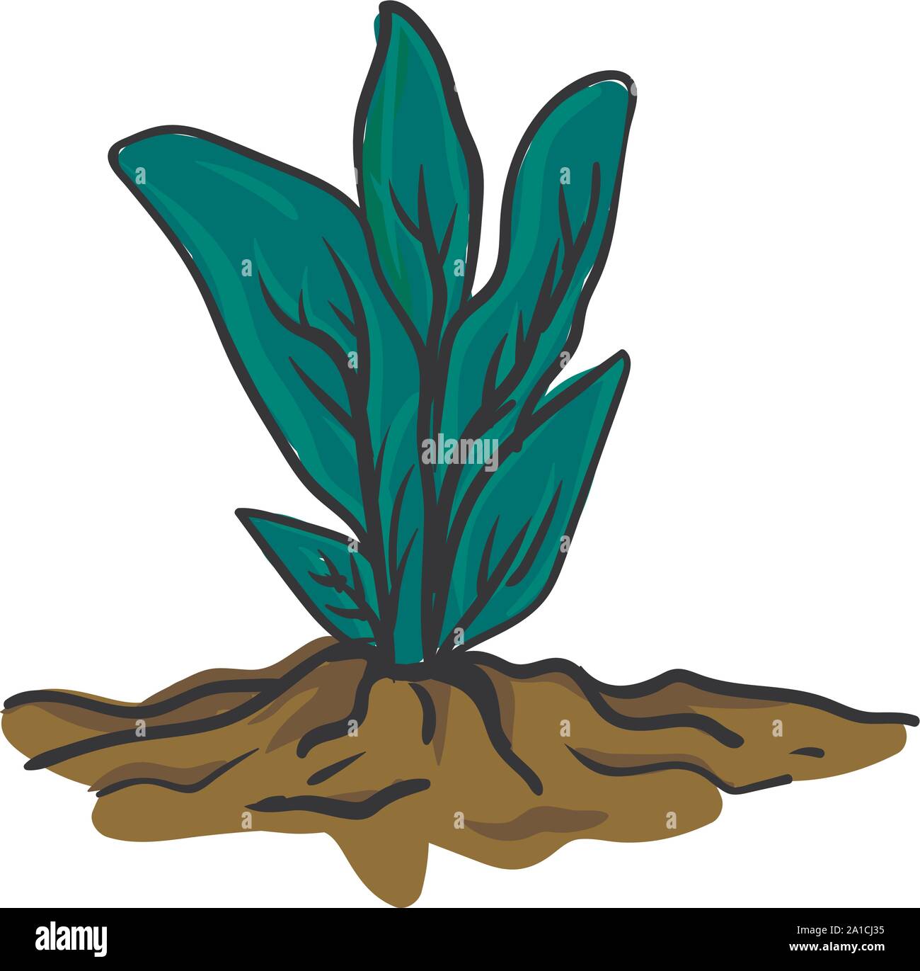 Plant in ground, illustration, vector on white background Stock Vector ...