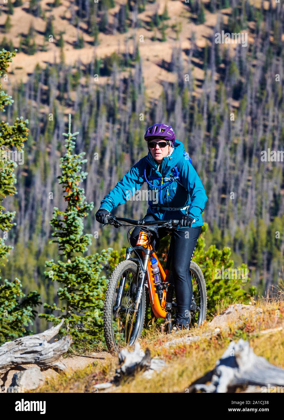 Mountain bikers on the famous Monarch Crest Trail, along the ...